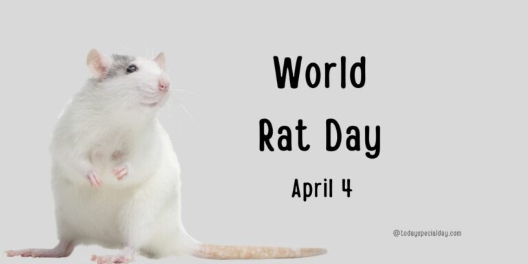 World Rat Day (April 4, 2023) - Today Special Day