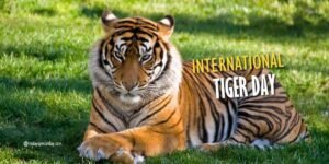 International Tiger Day - July 29: Importance, Theme & Quotes